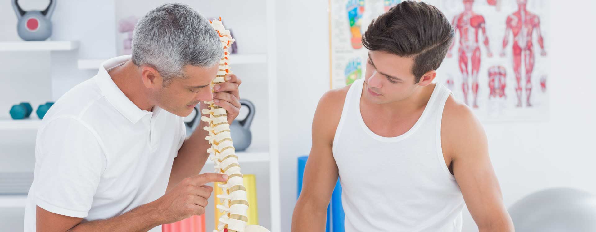 About Bird Chiropractic | Voorhees & Pennsauken, NJ
